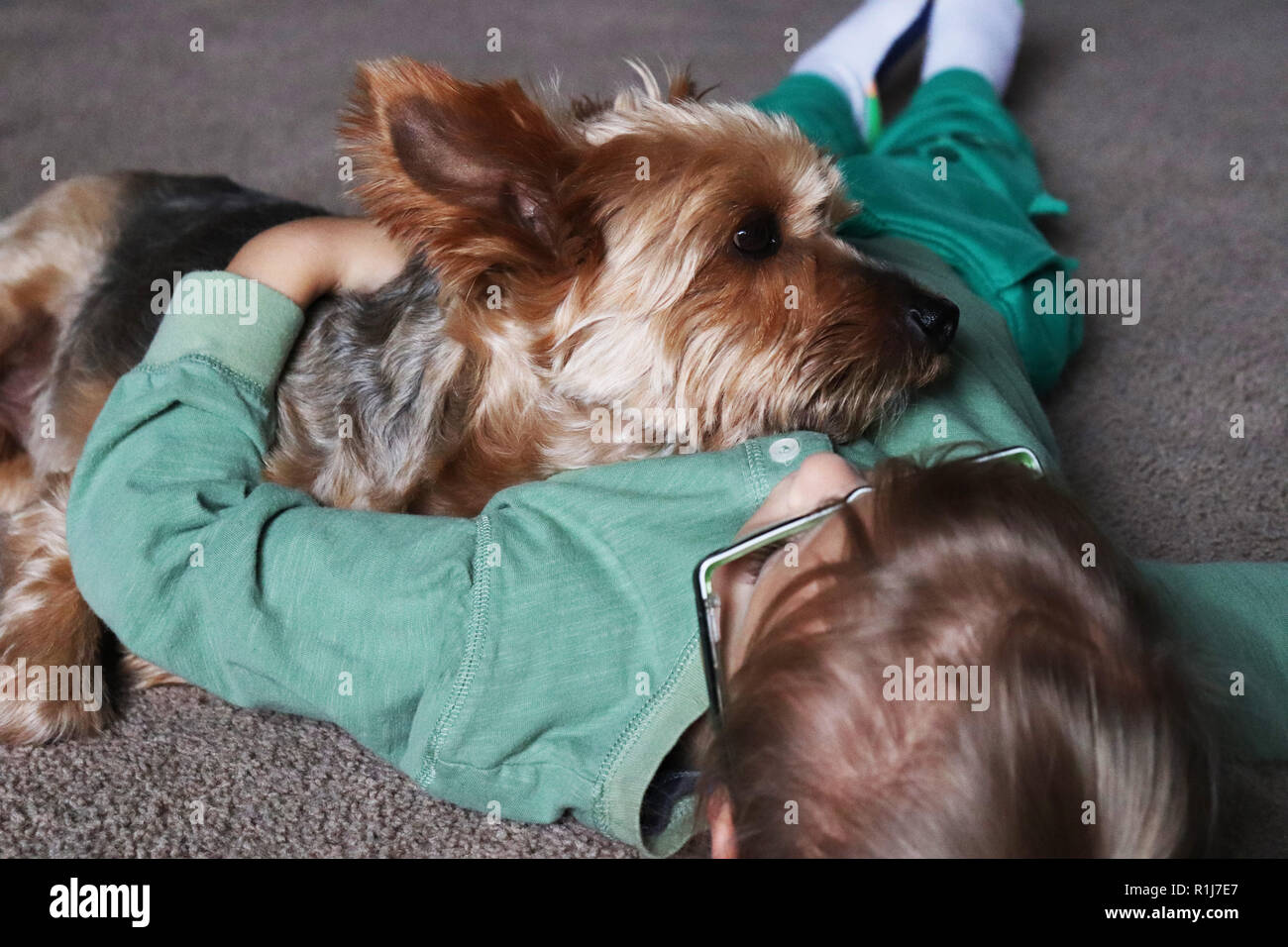 Child cuddling with their best friend Stock Photo - Alamy