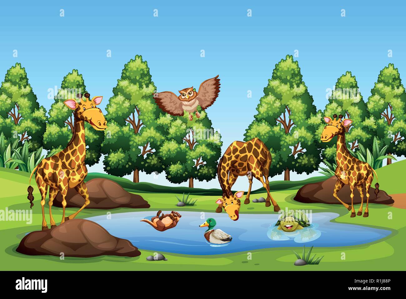 Many animal at the pond illustration Stock Vector Image & Art - Alamy