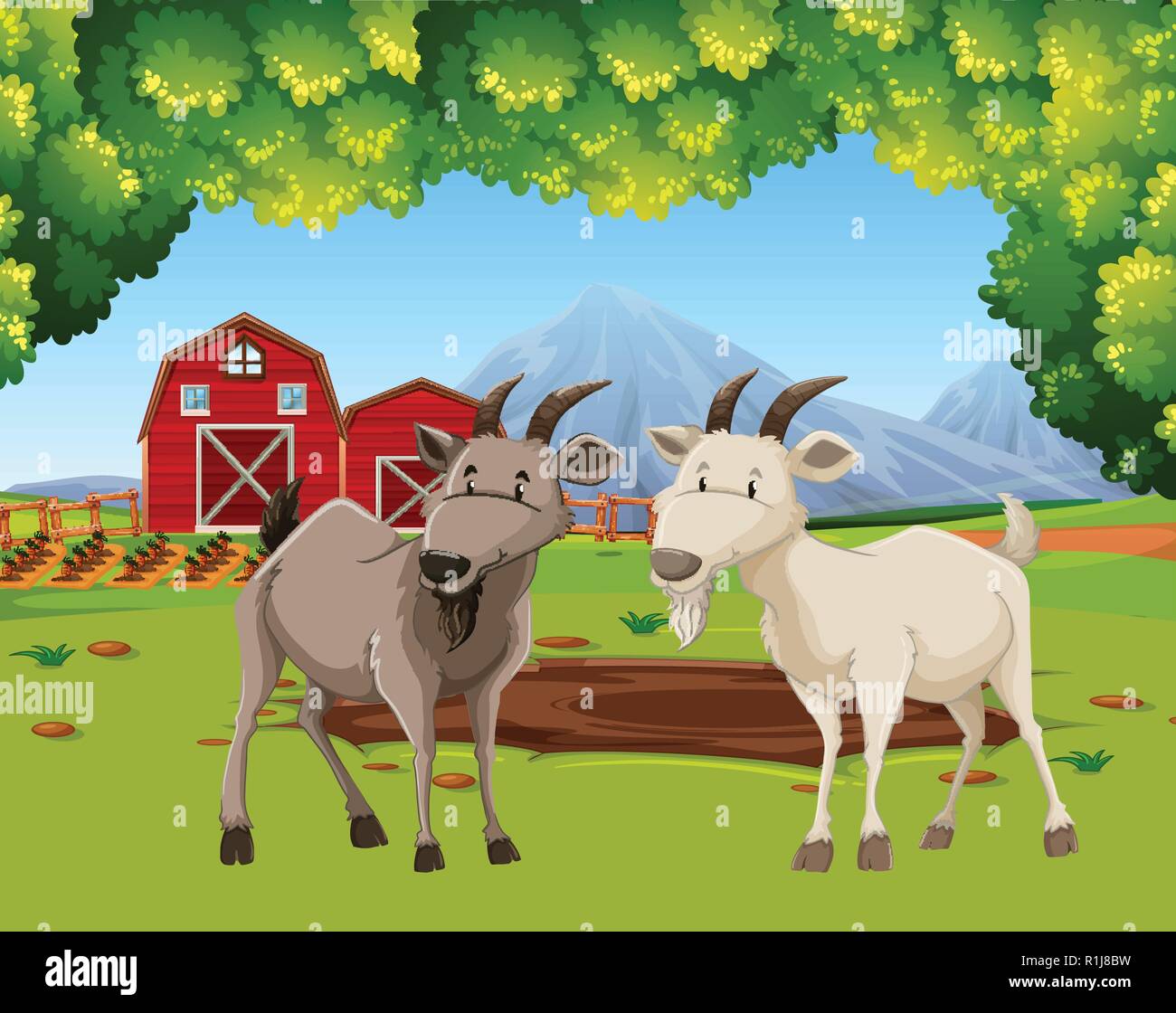 Two goats in farm scene illustration Stock Vector Image & Art - Alamy