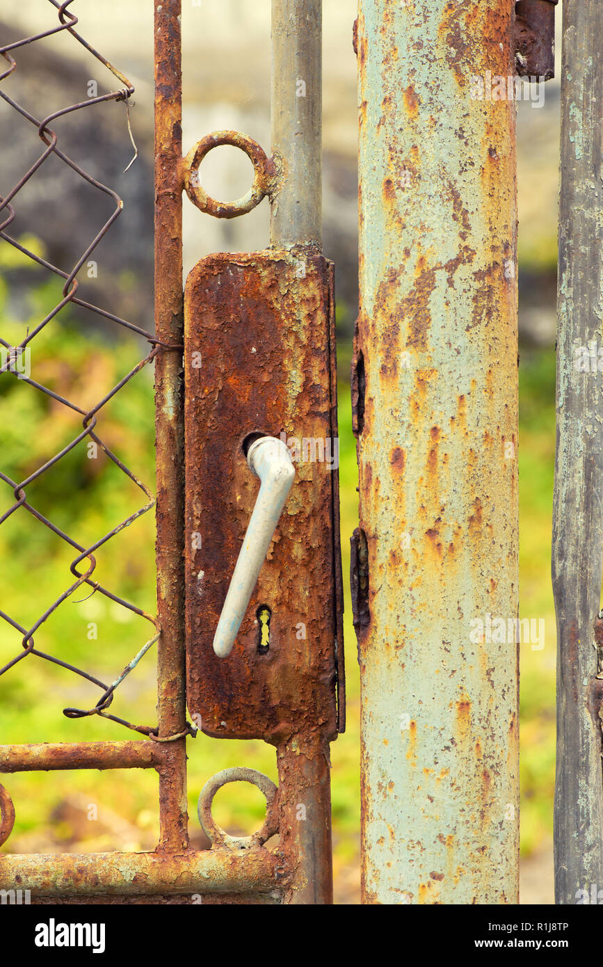 Old rusted gate detail with green grass in background Stock Photo - Alamy