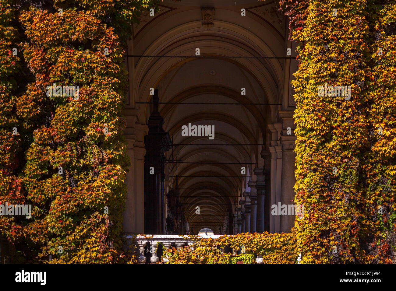 Zagreb, Croatia - October 2018. Autumn leaves as decoration on chapels ...