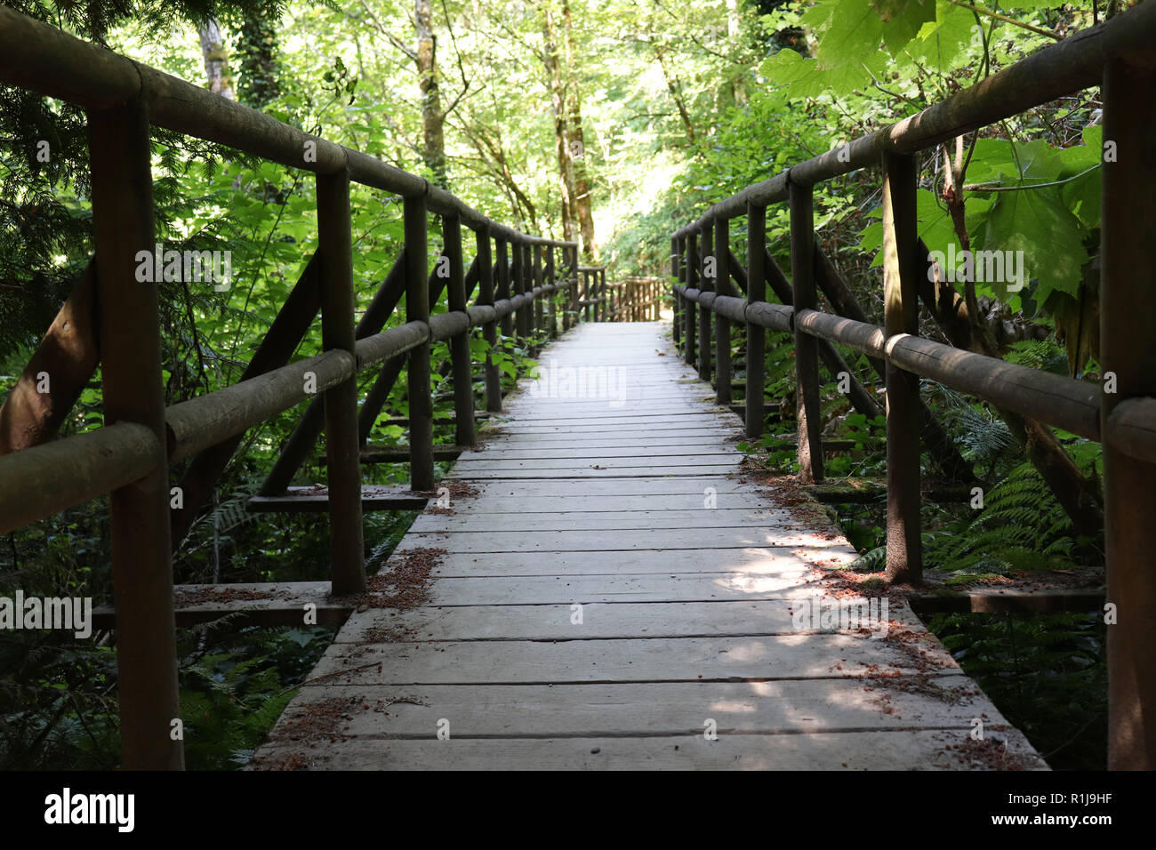 Priest point park hi-res stock photography and images - Alamy