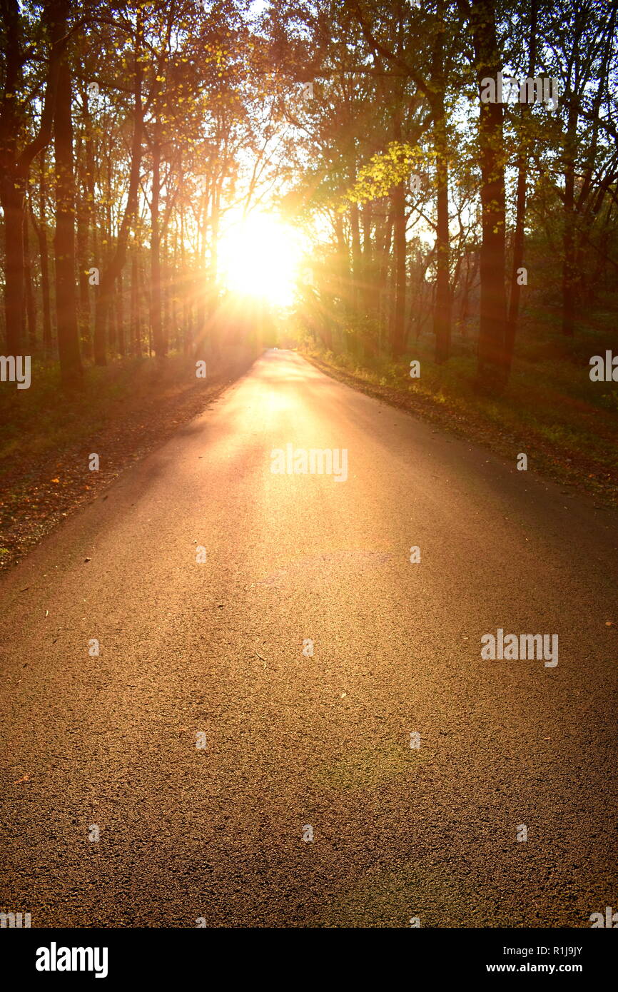 Back road hi-res stock photography and images - Alamy