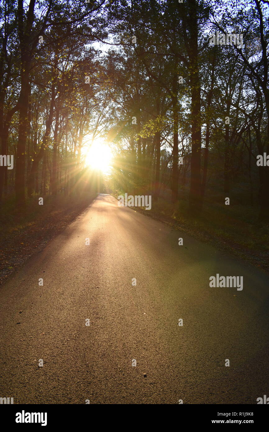 Back road hi-res stock photography and images - Alamy