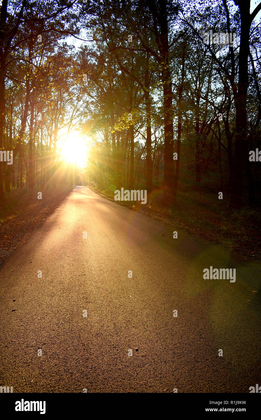 Back road hi-res stock photography and images - Alamy