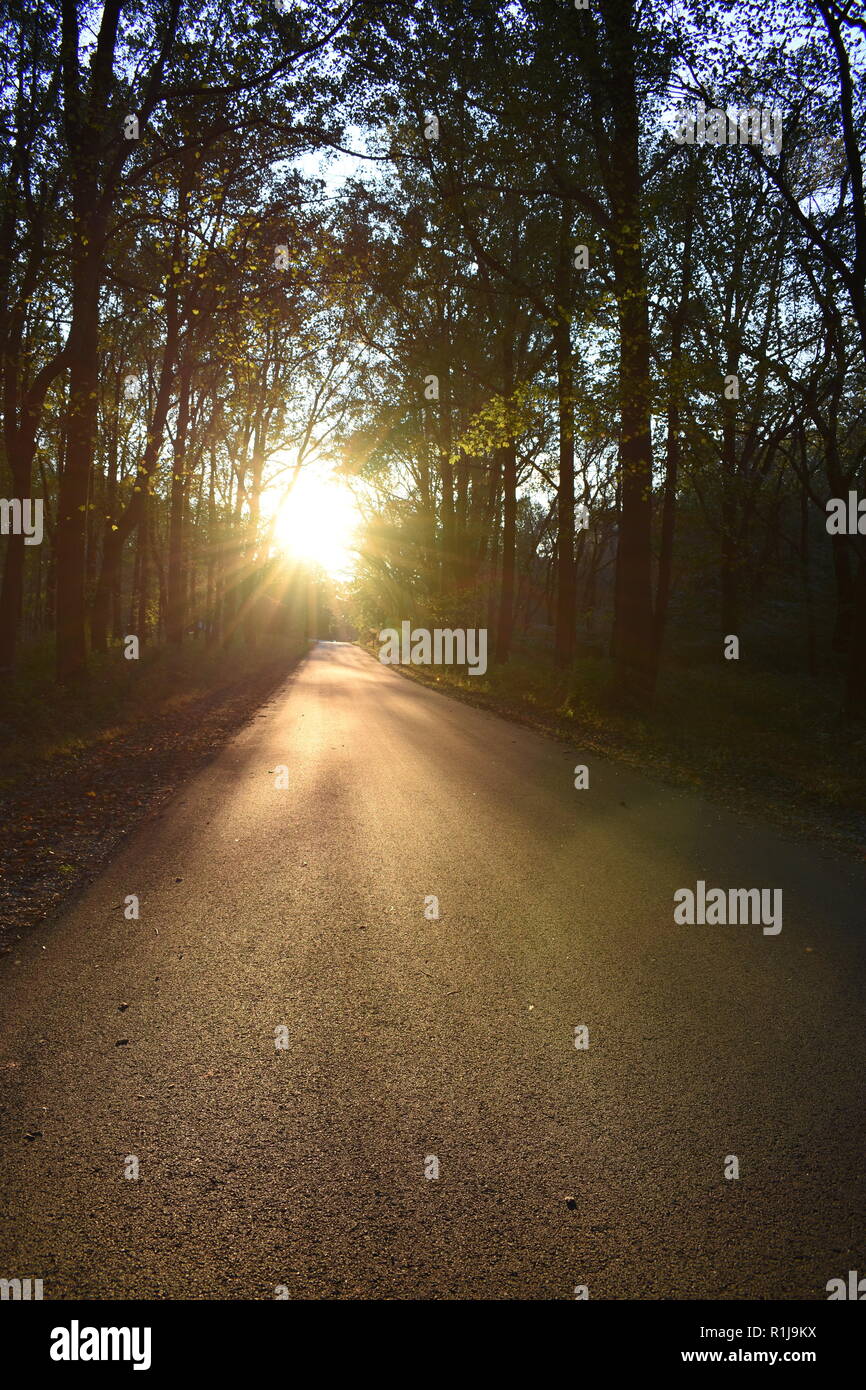 Back Road Sunset Stock Photo - Alamy