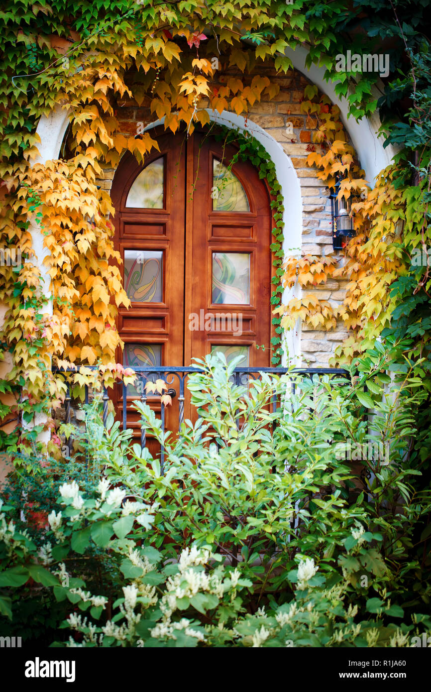 A beautiful box covered with leaves. Architecture, design Stock Photo ...
