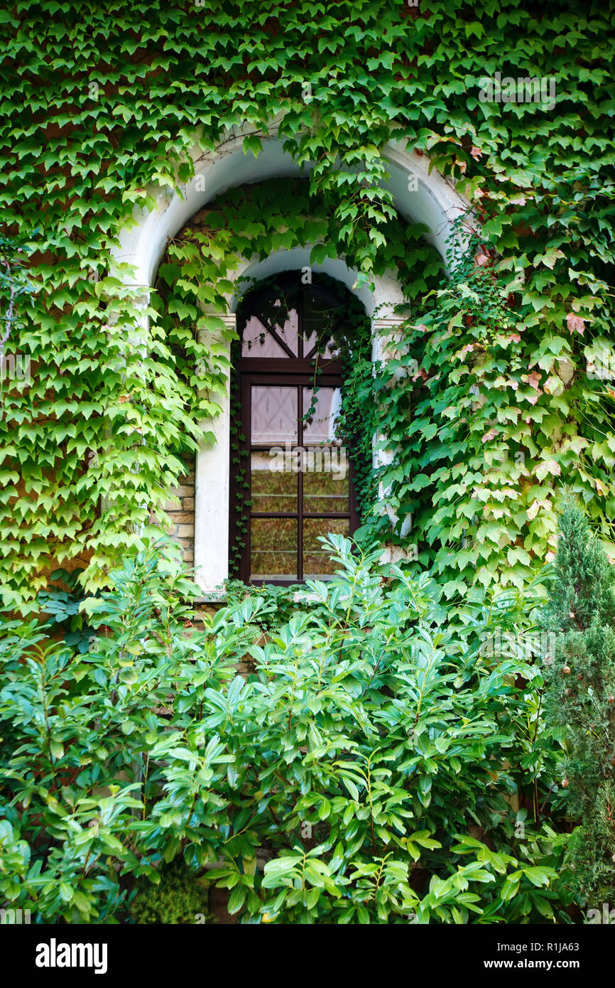 A beautiful box covered with leaves. Architecture, design Stock Photo ...