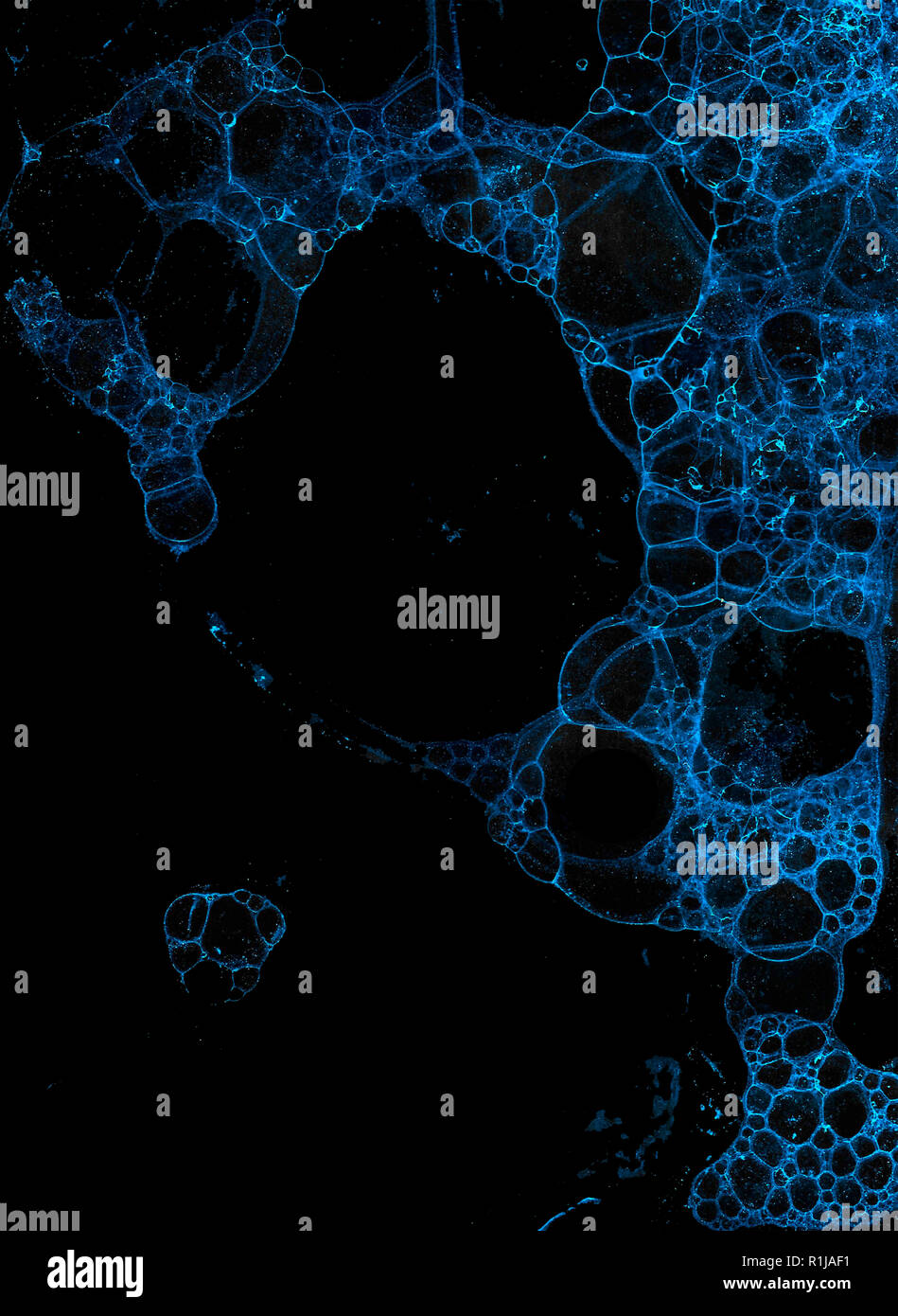 Abstract grunge cellular background against black background Stock ...