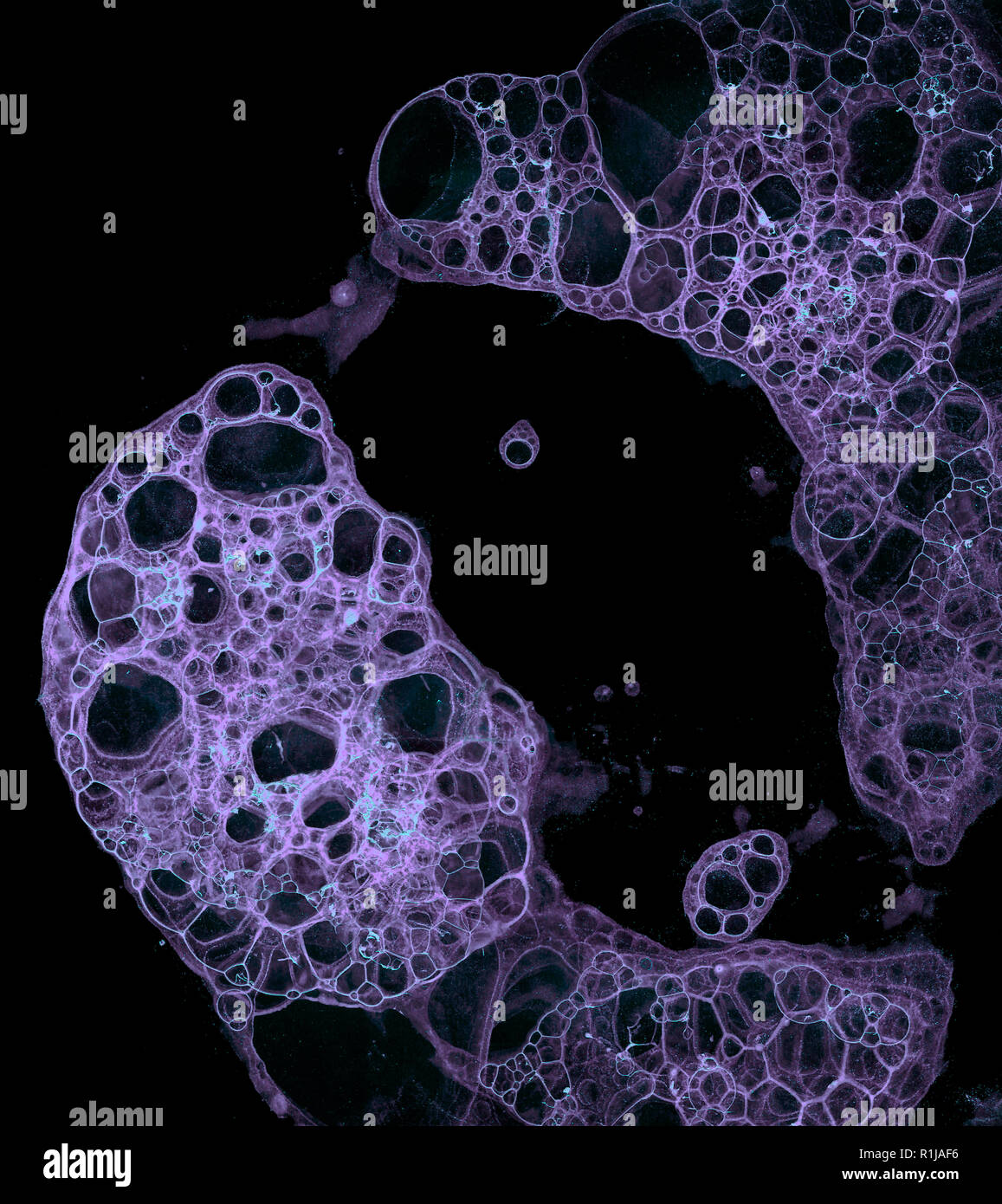 Abstract grunge cellular background against black background Stock ...