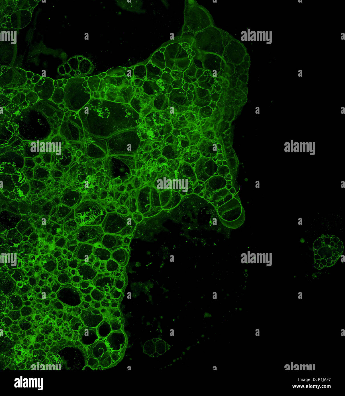 Abstract grunge cellular background against black background Stock ...