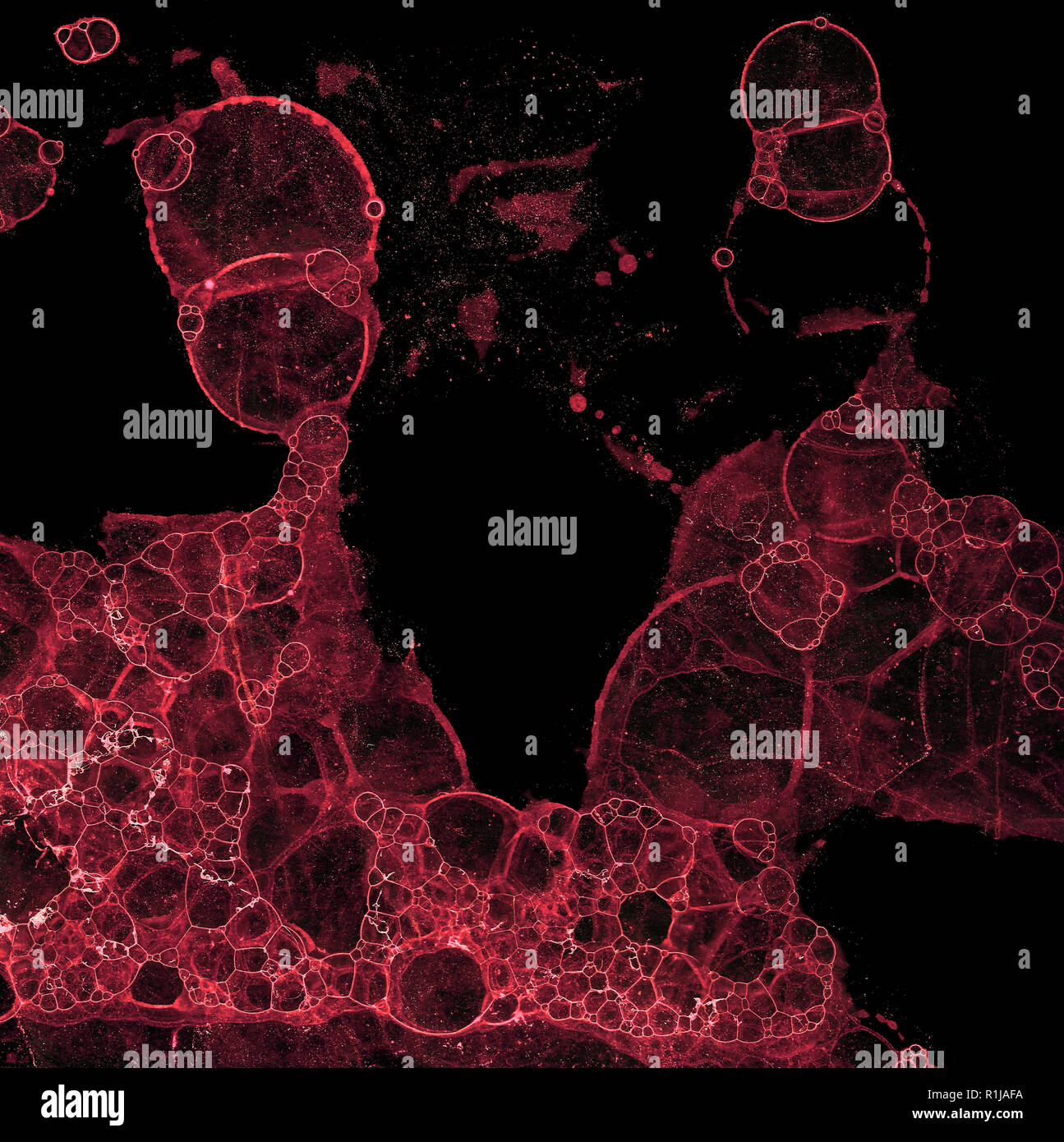 Abstract grunge cellular background against black background Stock ...