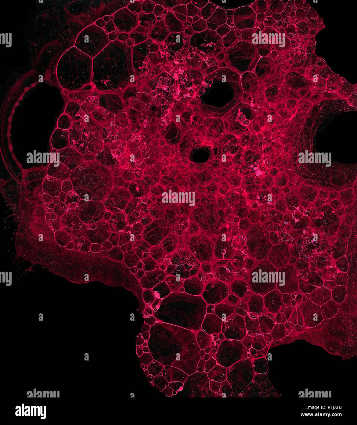 Abstract grunge cellular background against black background Stock ...