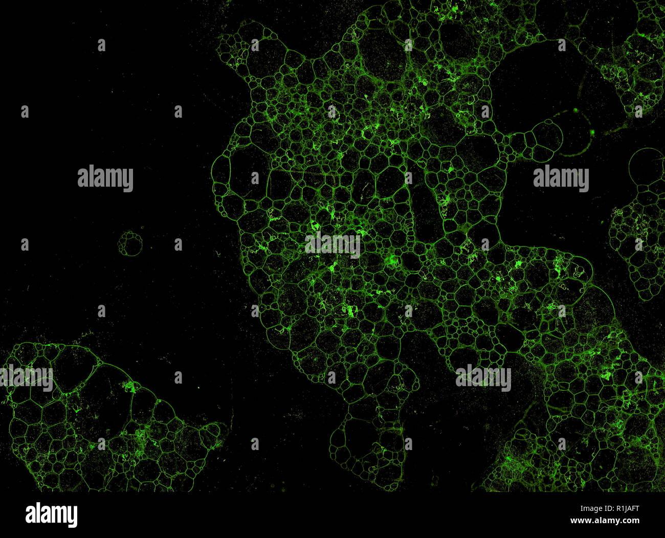 Abstract grunge cellular background against black background Stock ...