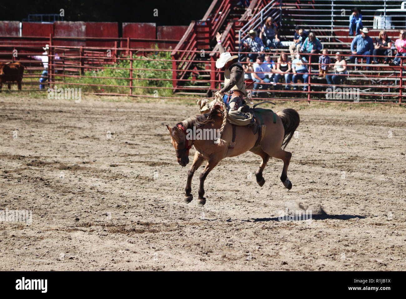 Horse riding challenge season hi-res stock photography and images - Alamy
