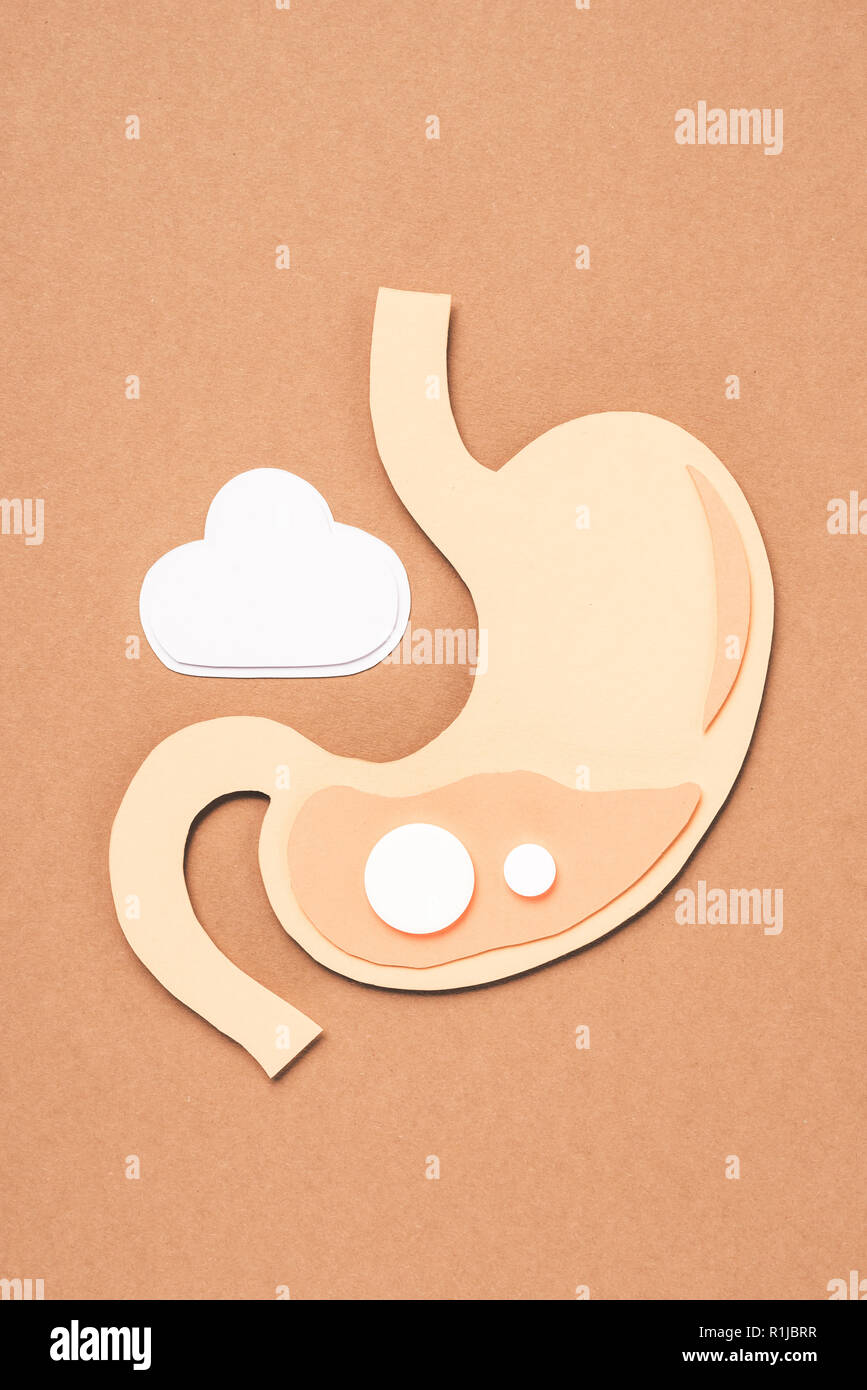 Stomach human anatomy from hi-res stock photography and images - Alamy