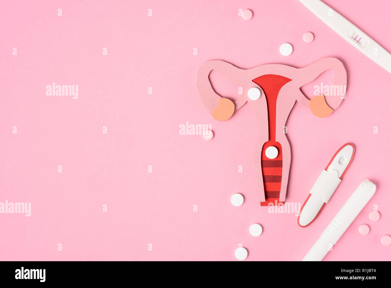 Female reproductive system hi-res stock photography and images - Alamy