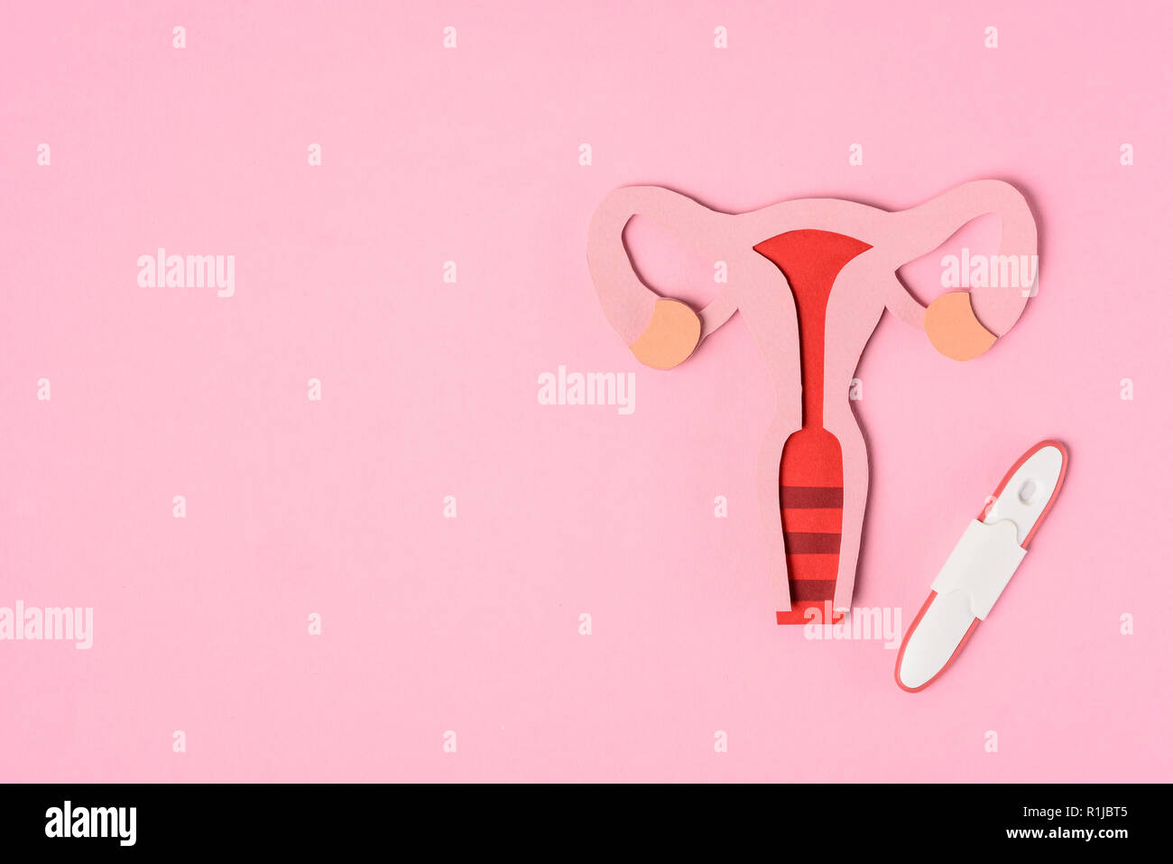 Female reproductive system hi-res stock photography and images - Alamy
