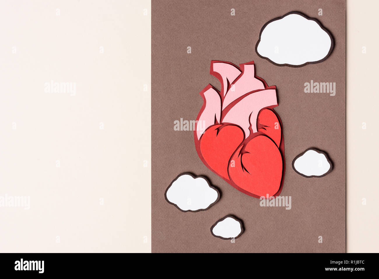 flat lay with anatomical human heart on brown with beige Stock Photo ...