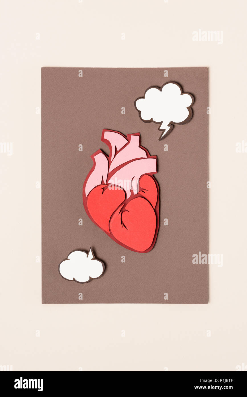 flat lay with anatomical human heart on brown with beige Stock Photo ...