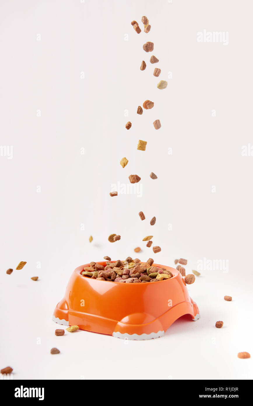 selective focus of granules falling into plastic bowl with pet food on ...