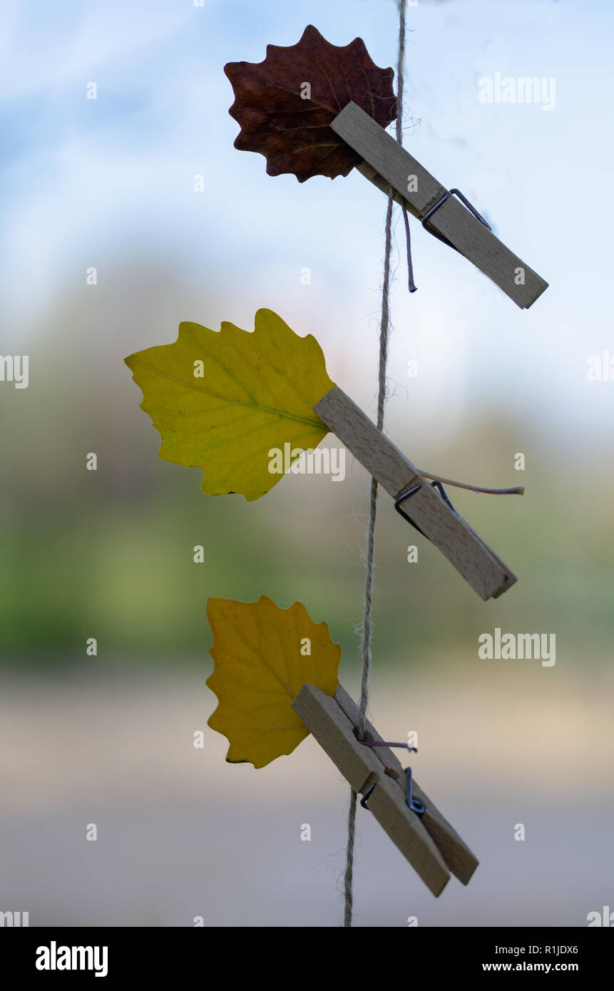 Colored autumn leaves hanging on the rope Stock Photo - Alamy