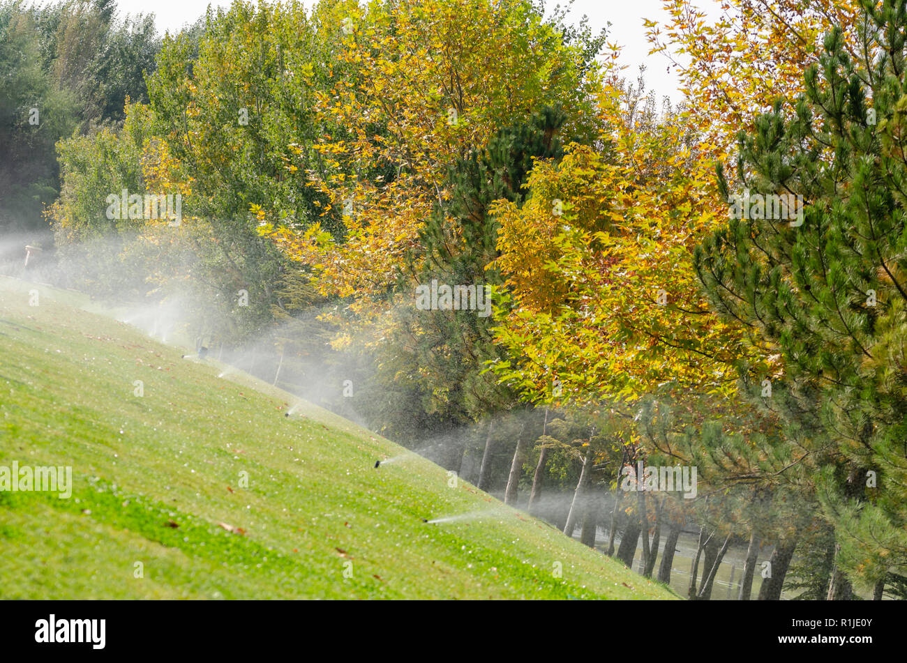 Sprinkler system hi-res stock photography and images - Alamy