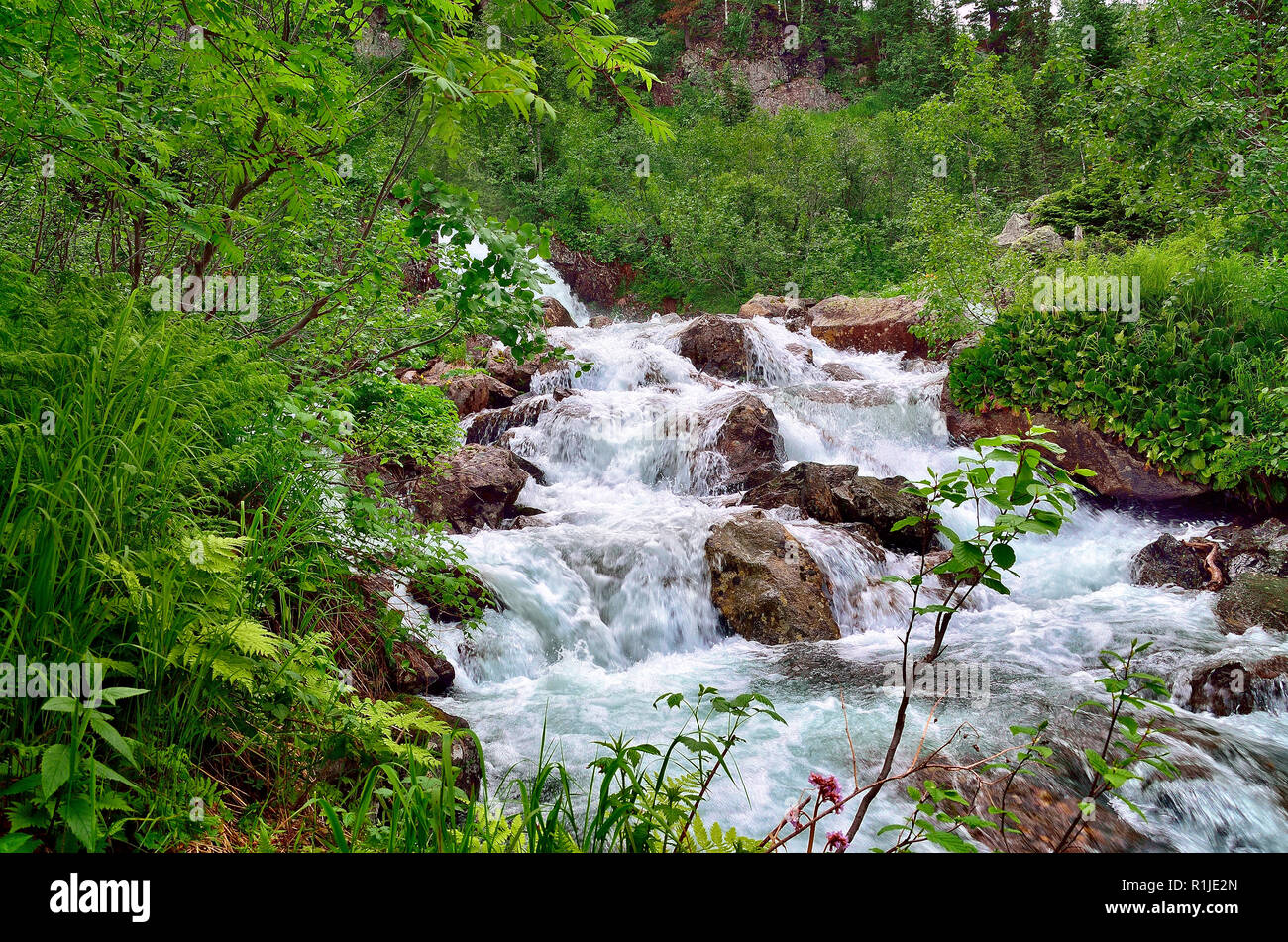 River Source Mountain