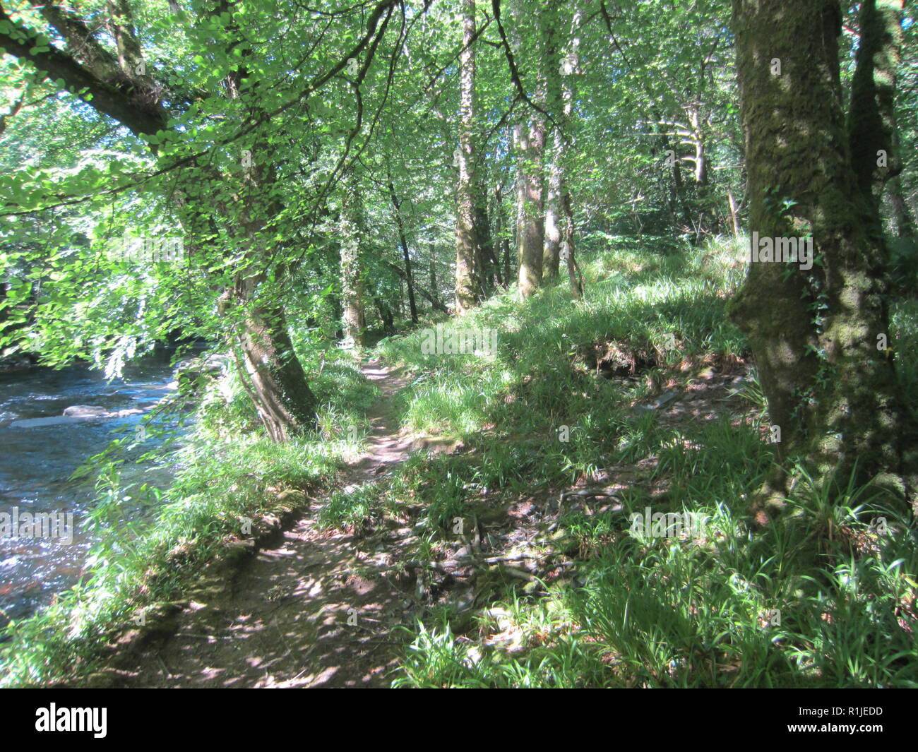 Spitchwick common hi-res stock photography and images - Alamy