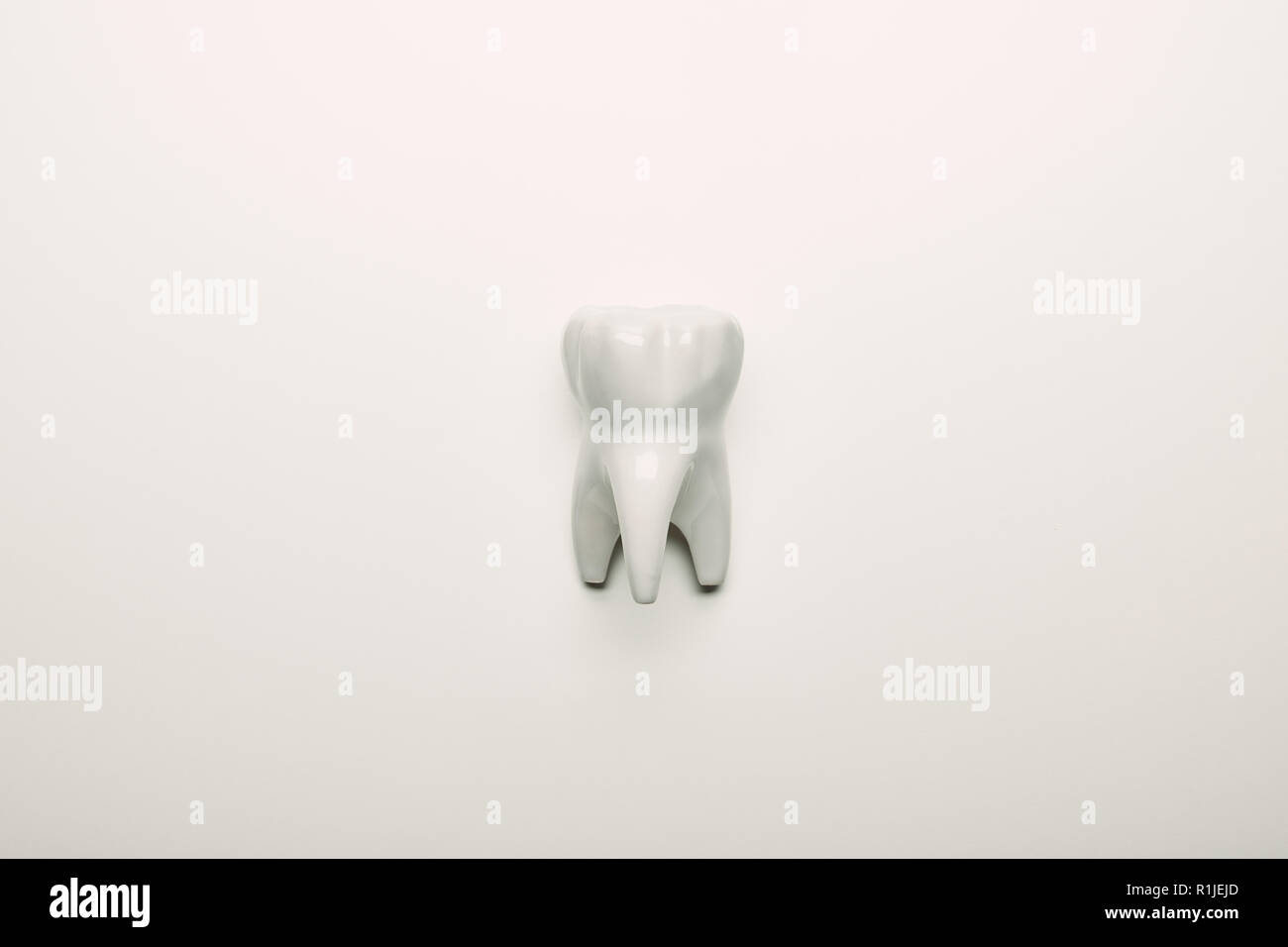 top view of tooth model on white tabletop, dental care concept Stock ...
