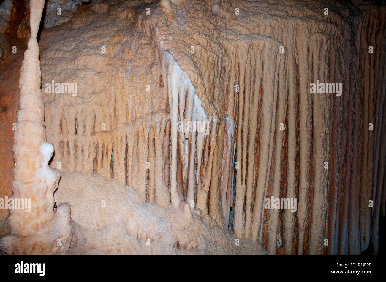 Lucas Cave - Jenolan Caves - Australia Stock Photo - Alamy