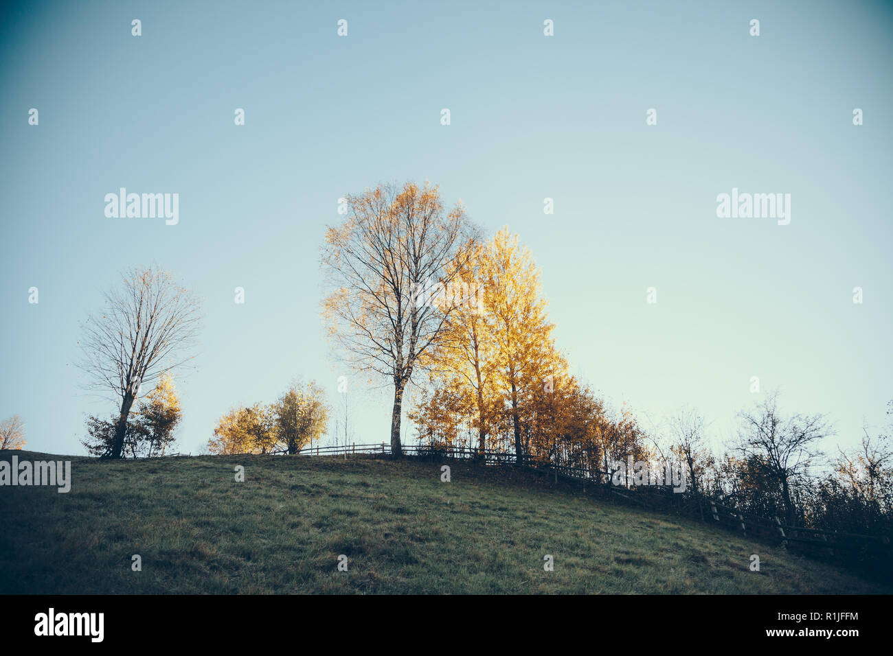 beautiful mountain pasture in Vorokhta under blue sky, Carpathians ...