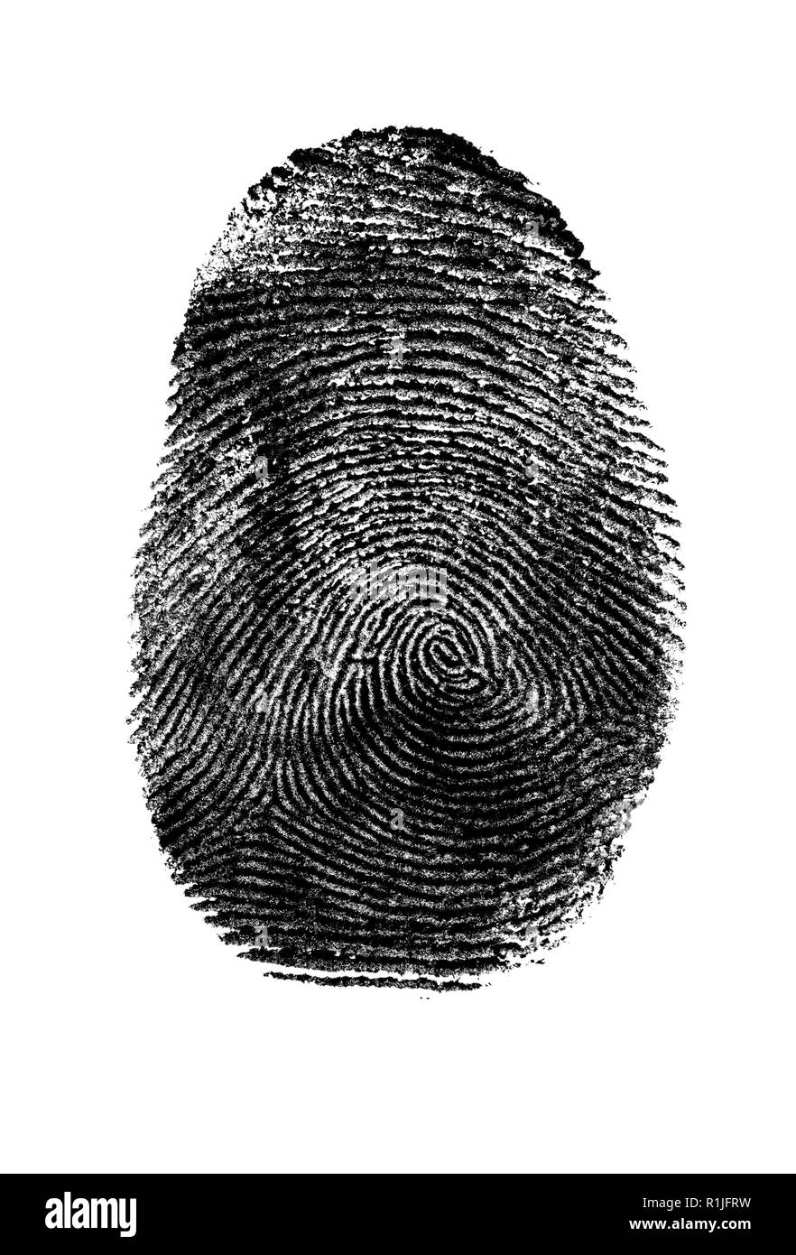 Real fingerprint isolated on white paper background. Fingerprint. Black ...