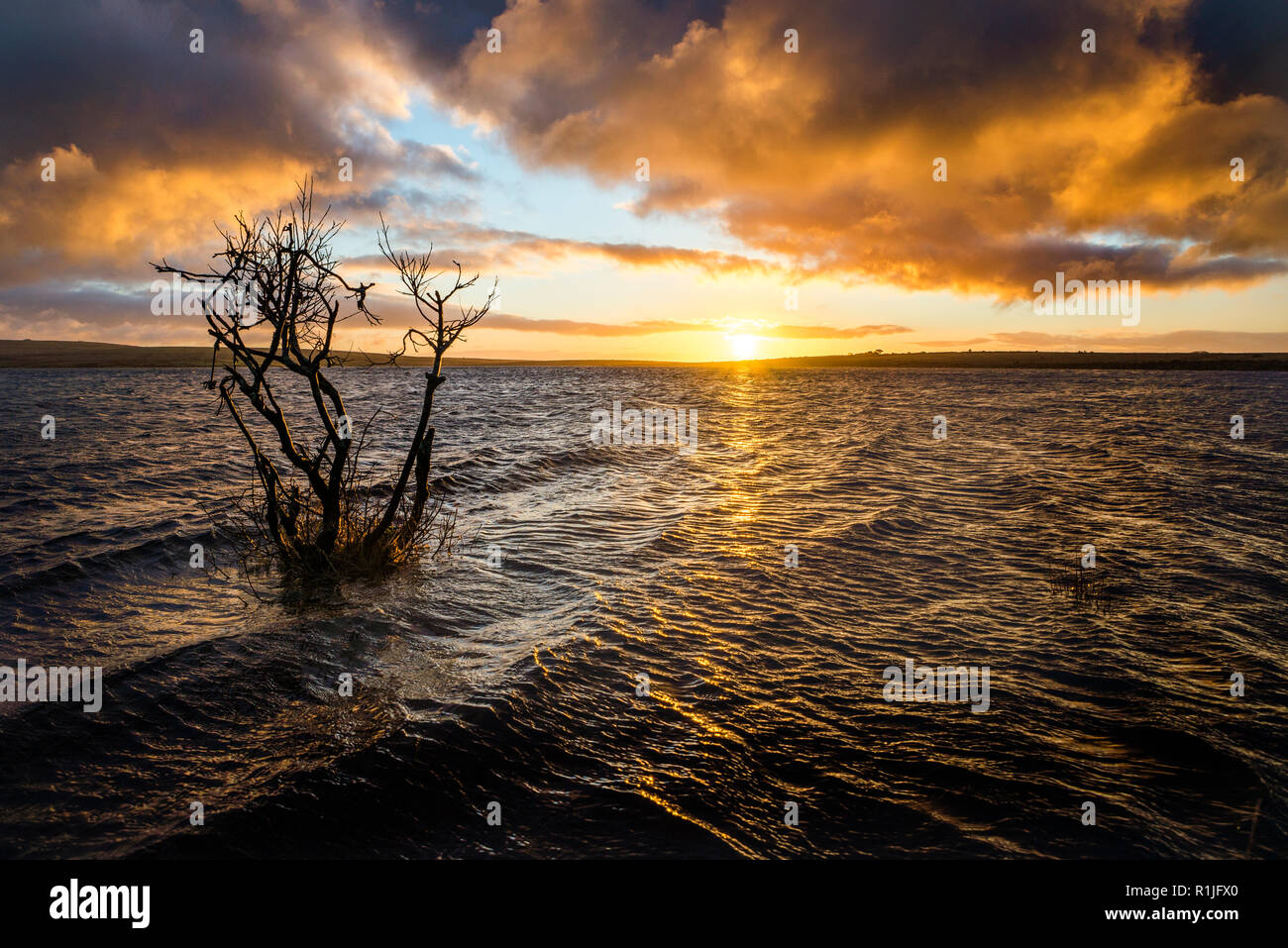 Sunrise over the reservoir at Colliford lake reservoir, Bodmin moor ...