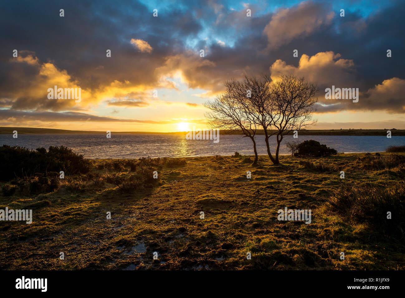 Colliford reservoir cornwall hi-res stock photography and images - Alamy