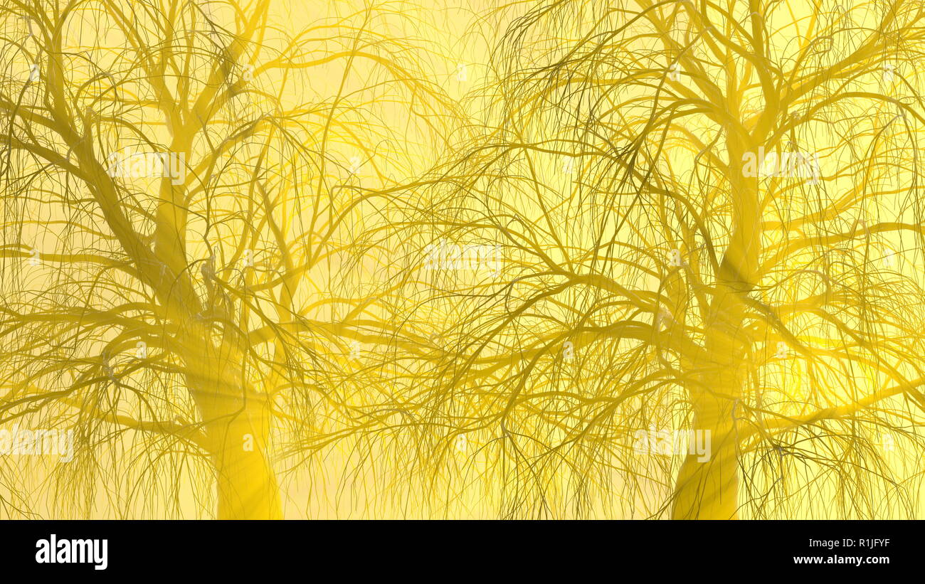 two trees without leaves in fog or mist lit by bright orange sun god ...