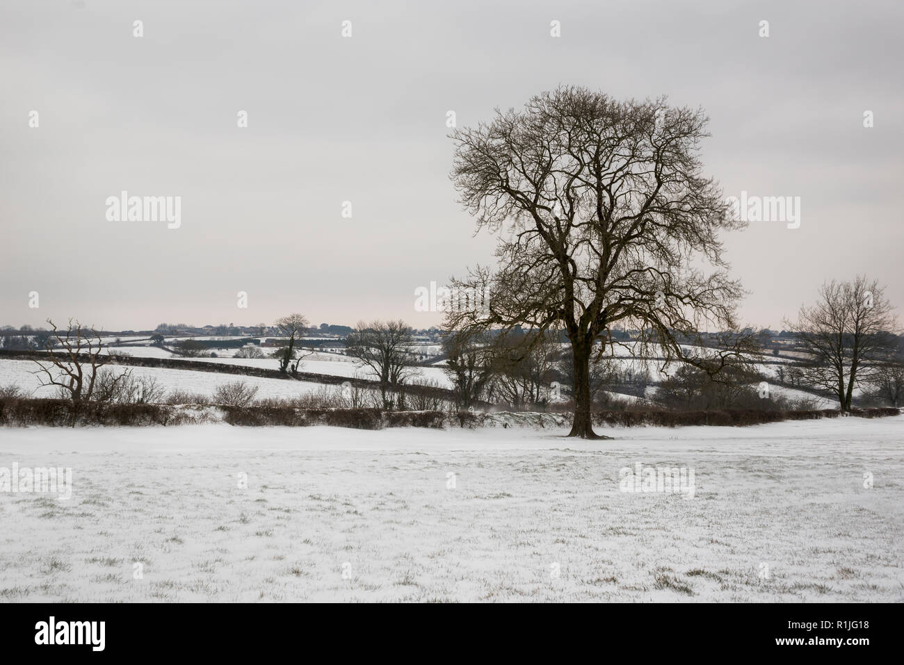 Fields cornwall hi-res stock photography and images - Alamy