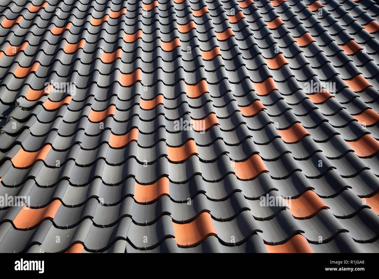 Rows of red and gray roof tiles on sheep fold of Maasduinen National ...