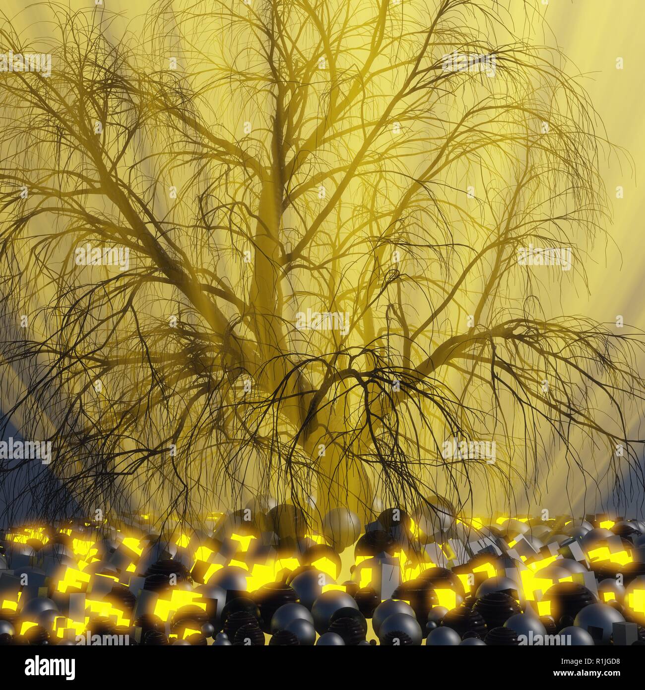 Lonely tree without leaves in fog or mist lit by bright orange sun god ...