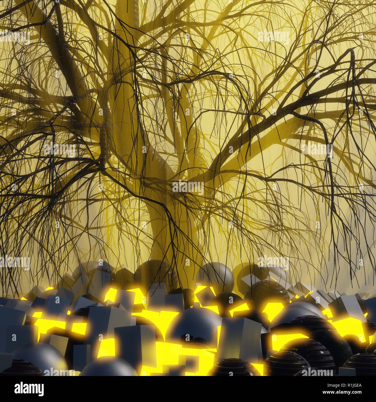 Lonely tree without leaves in fog or mist lit by bright orange sun god ...