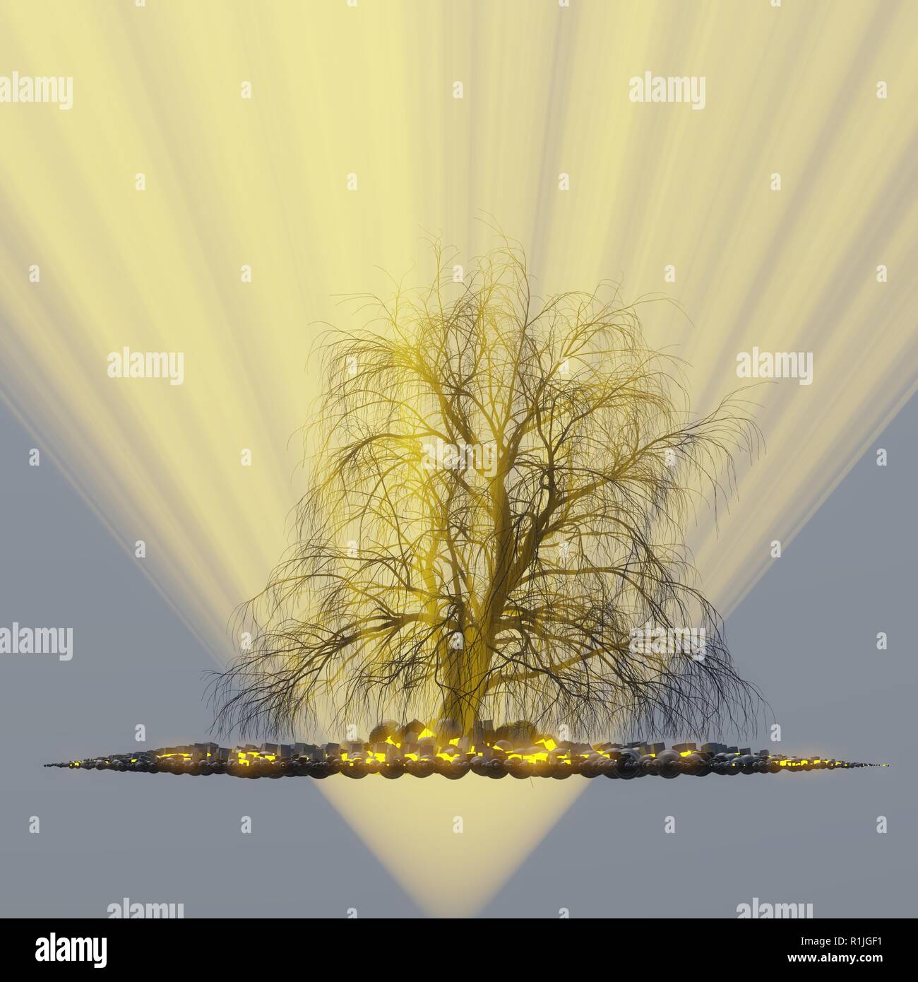 Lonely tree without leaves in fog or mist lit by bright orange sun god ...