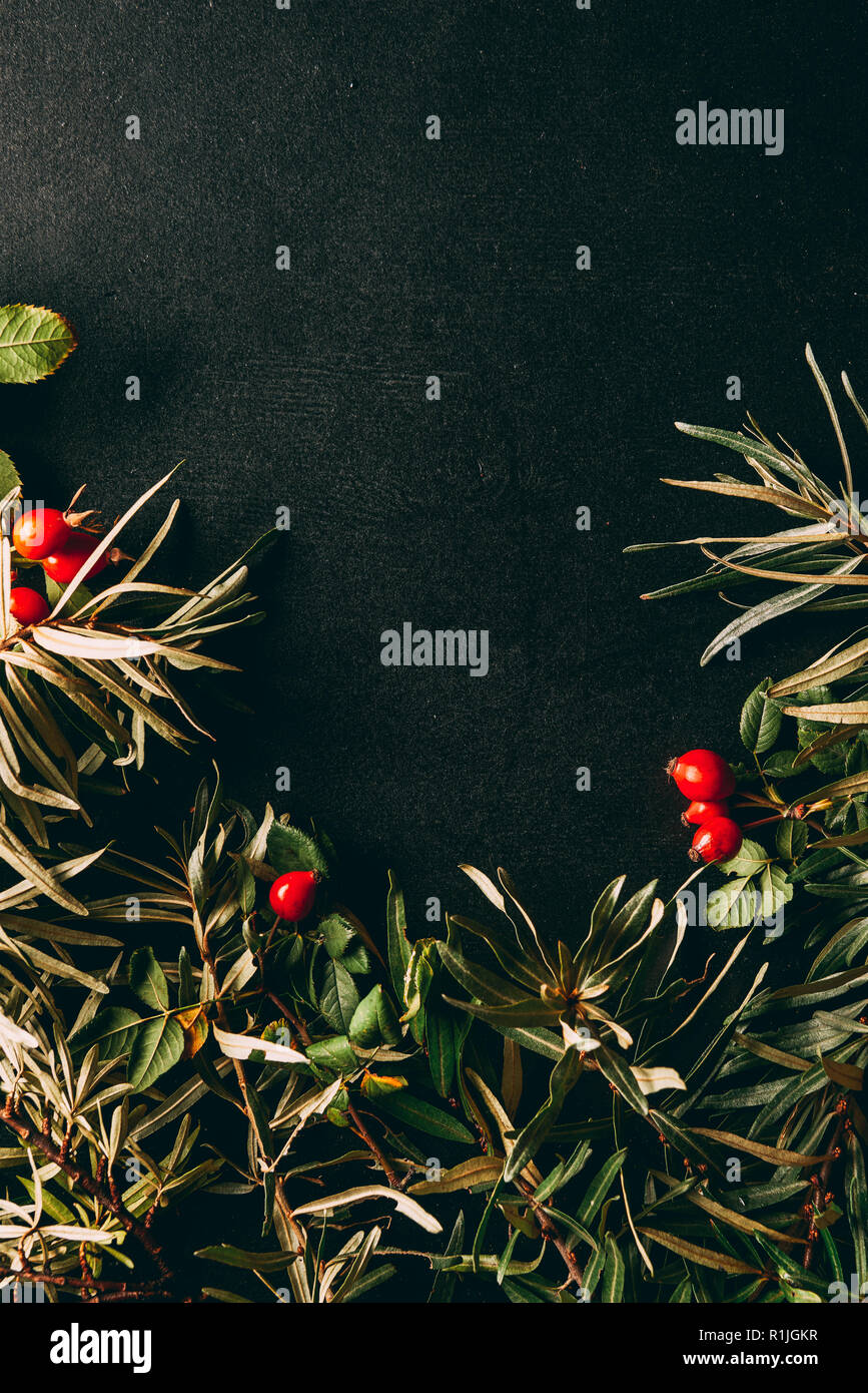 flat lay with autumn plants arrangement on black background Stock Photo ...
