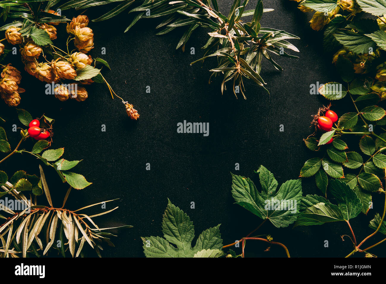 flat lay with autumn plants arrangement on black background Stock Photo ...