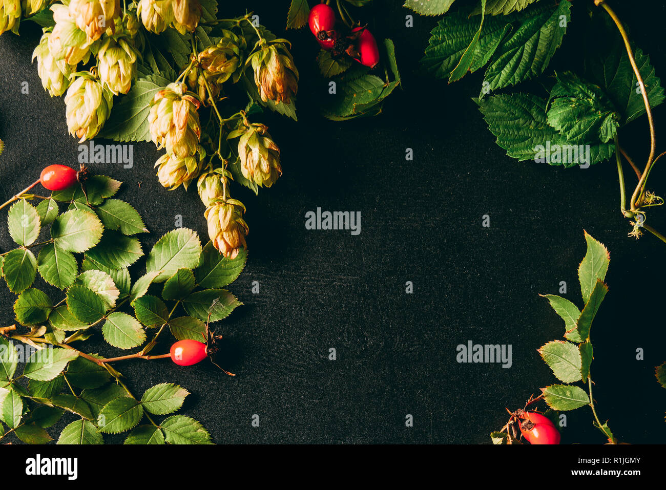 flat lay with autumn plants arrangement on black background Stock Photo ...