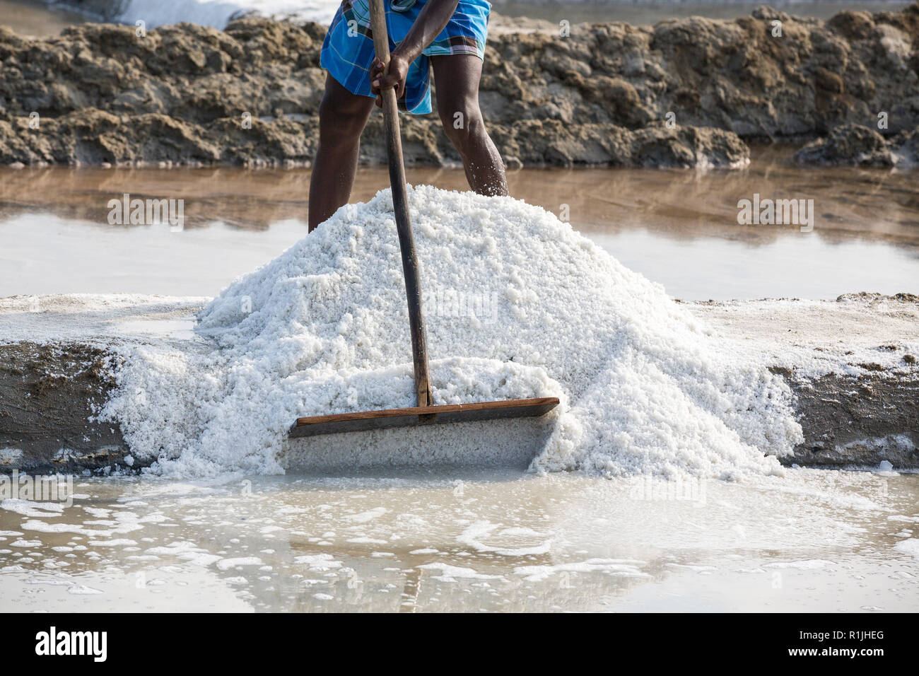 PONDICHERY, PUDUCHERRY, TAMIL NADU, INDIA - MARCH CIRCA, 2018. Close-up ...