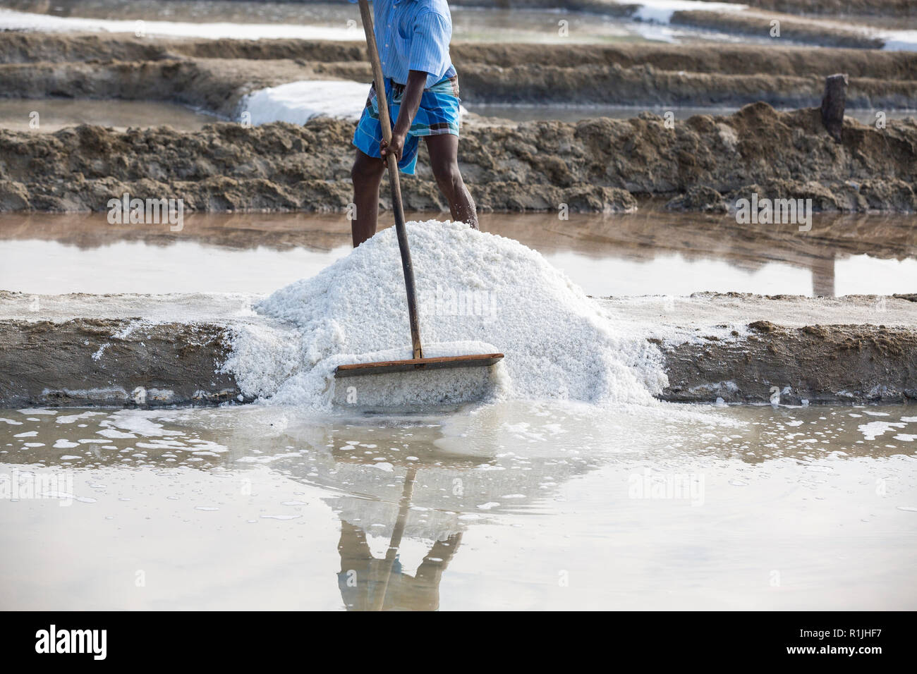 India tamil nadu salt production hi-res stock photography and images ...