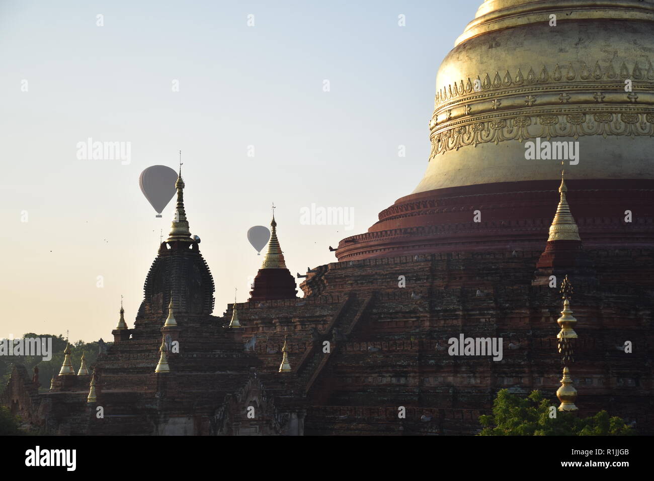 Hot air balloons flying over Bagan archaeological area at sunrise ...