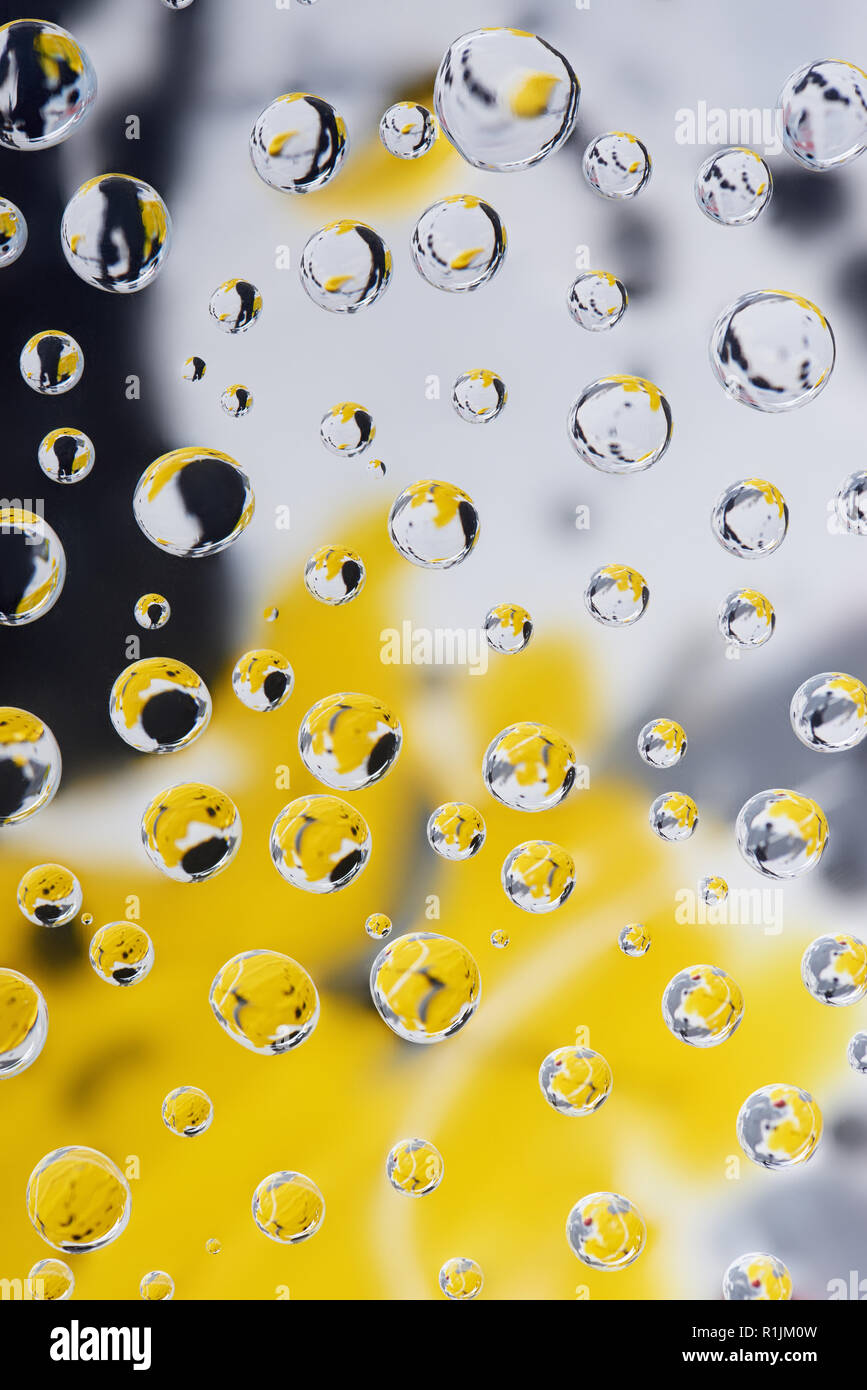 Beautiful view rain drops on hi-res stock photography and images - Alamy