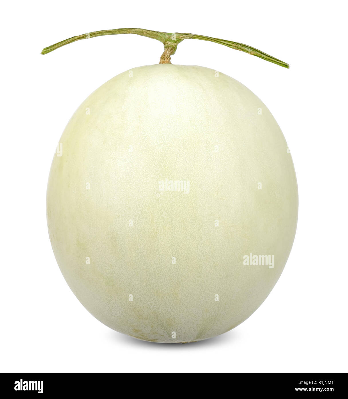 Honeydew melon isolated on white with clipping path Stock Photo - Alamy