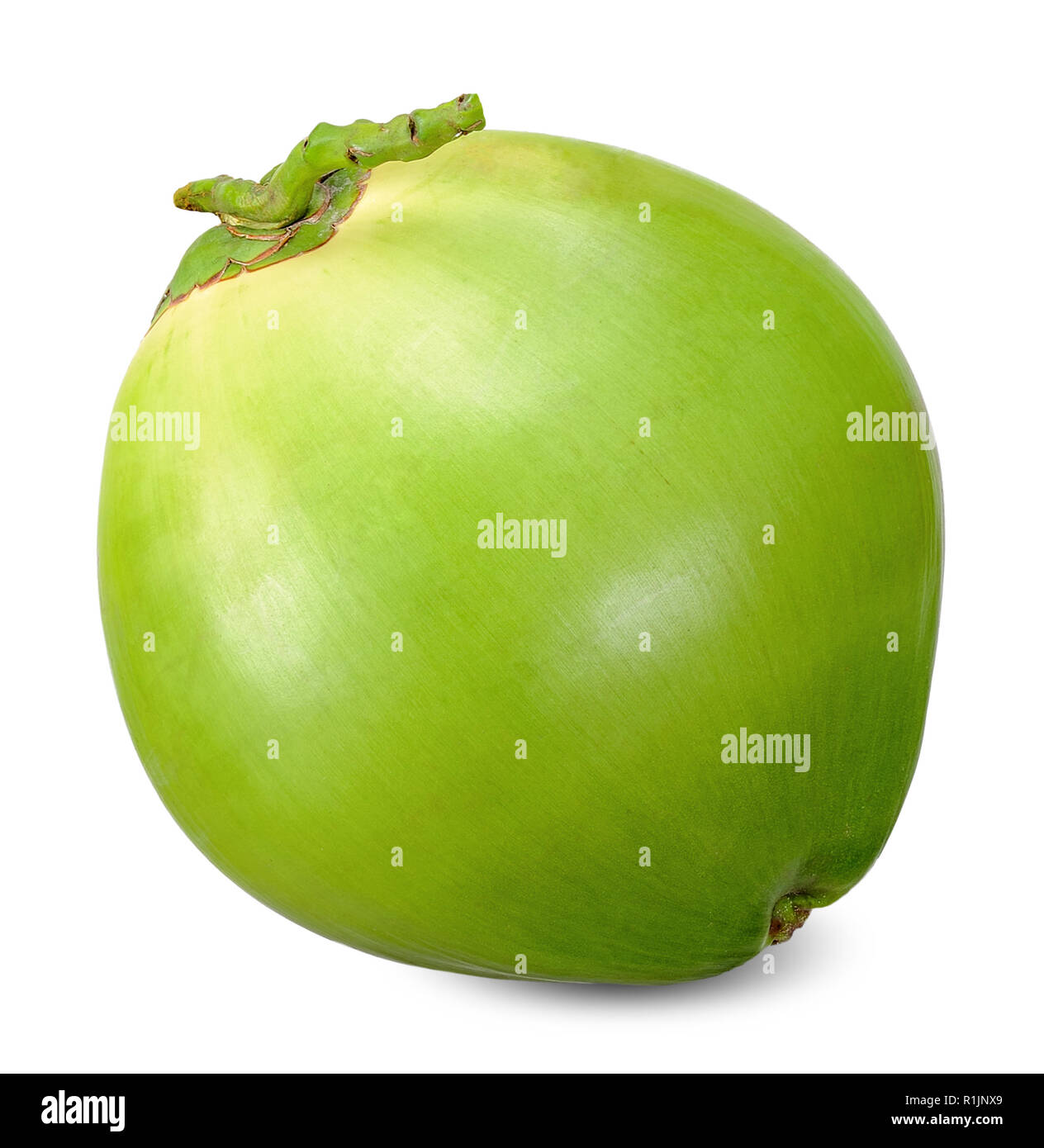 Green coconut isolated on white clipping path Stock Photo - Alamy